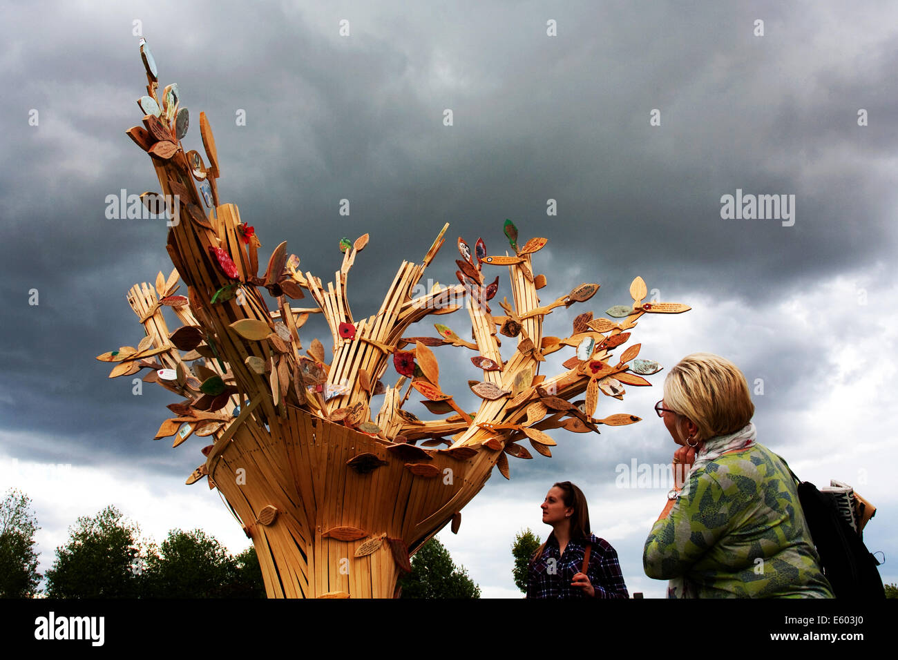 A WW1 memorial tree at the National Memorial Arboretum, Alrewas ...