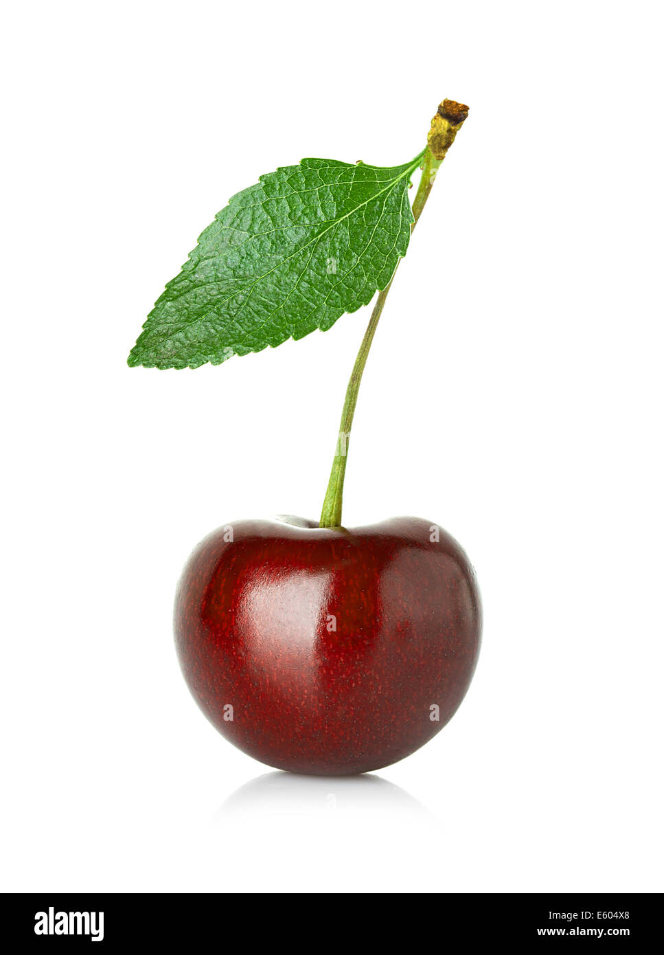 Cherry isolated on white background Stock Photo - Alamy