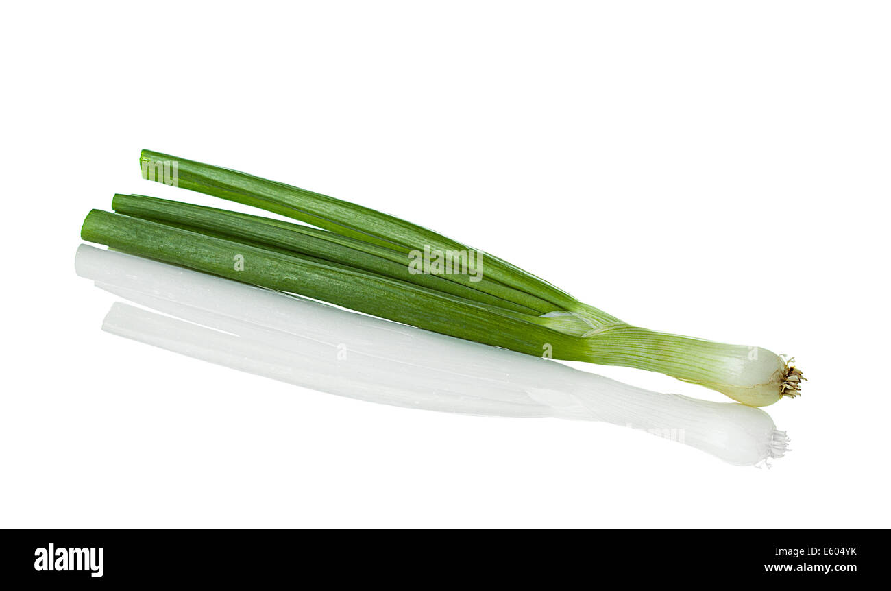 green onion isolated on white background Stock Photo - Alamy