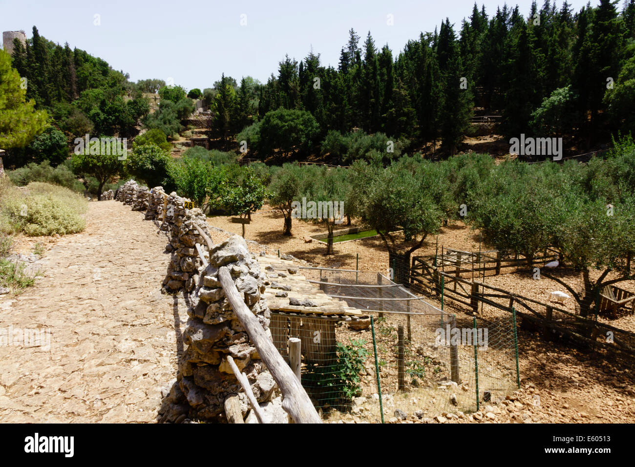 Zante, Greece - Askos Stone Park, small zoo and gardens. General view ...