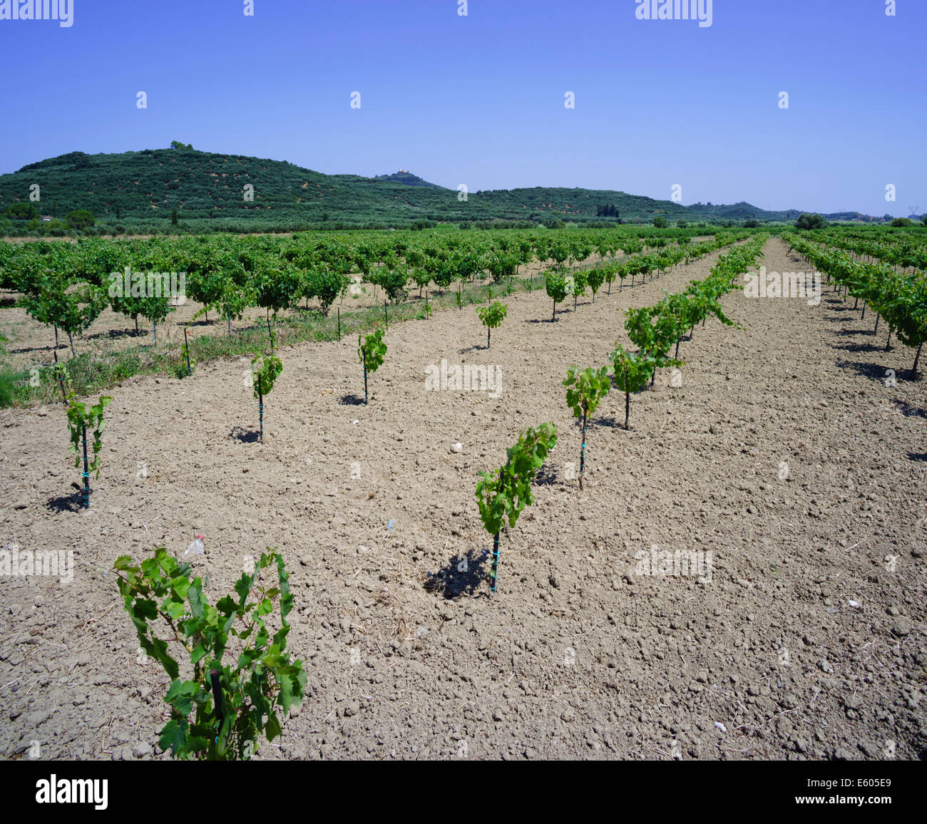 Katastari hi-res stock photography and images - Alamy