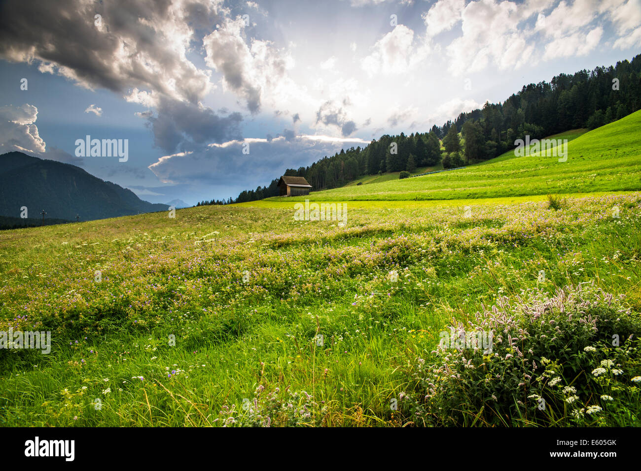 Austrian landscape after a rain Stock Photo - Alamy