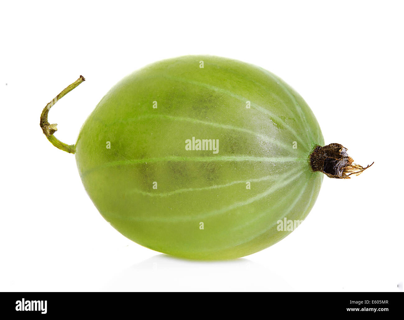 gooseberry isolated on a white background Stock Photo - Alamy