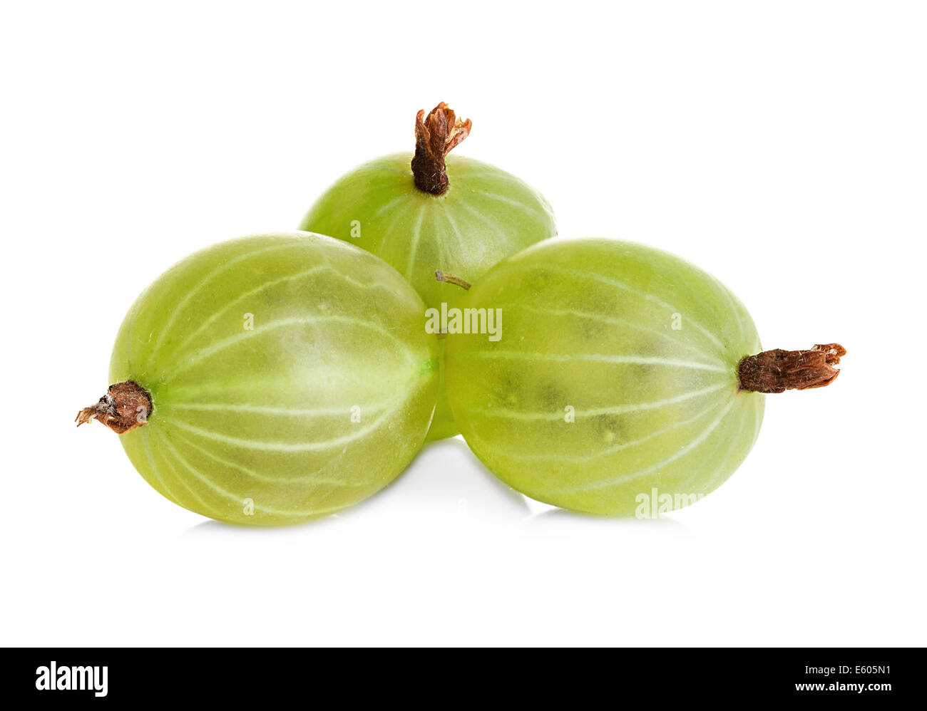 gooseberry isolated on a white background Stock Photo - Alamy