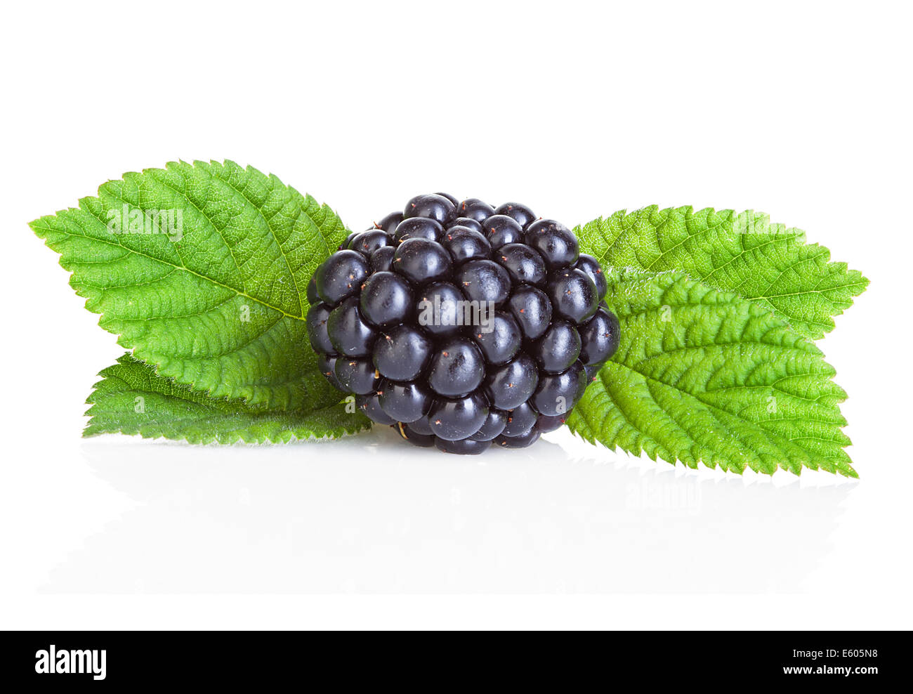 Blackberry fruit blackberries berry Cut Out Stock Images & Pictures - Alamy
