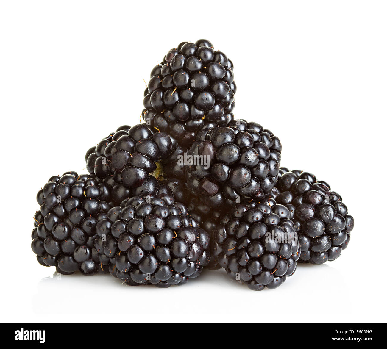 blackberry isolated on white background Stock Photo - Alamy