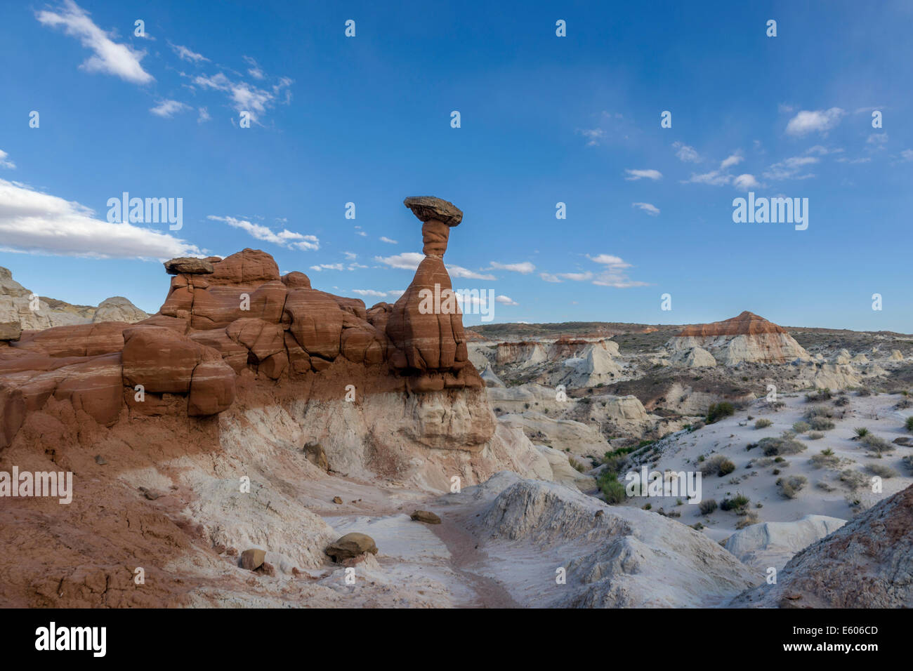 Toadstool called ET, Paria Rimrocks, Grand Staircase-Escalante National ...