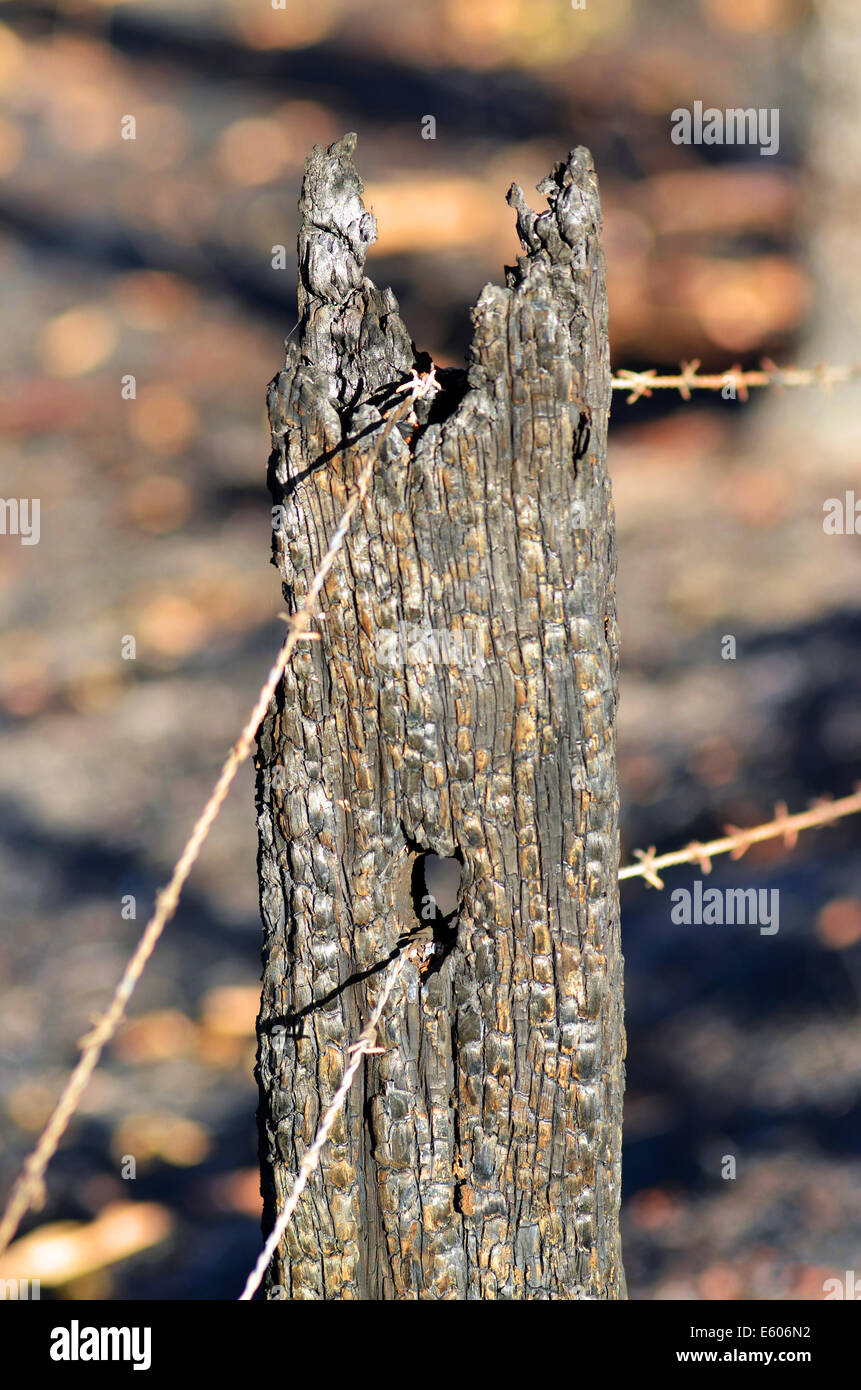 Burnt timber hi-res stock photography and images - Alamy