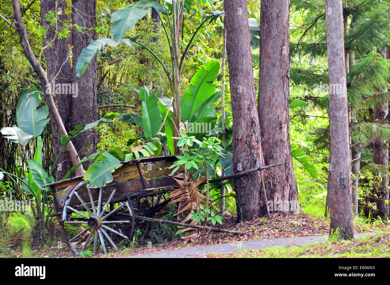 Broken cart hi-res stock photography and images - Alamy