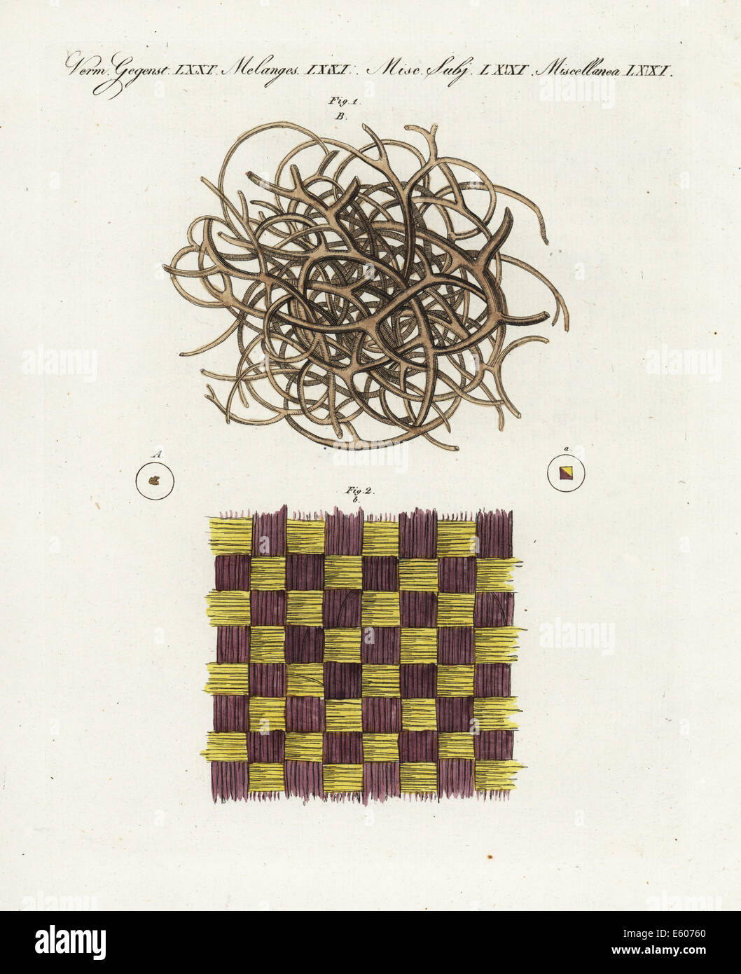 Magnified image hi-res stock photography and images - Alamy