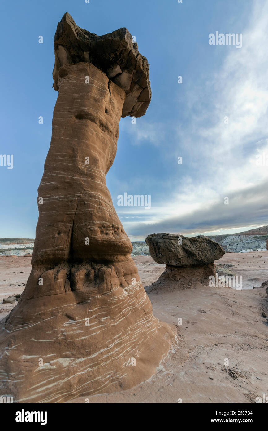 Small toadstools hi-res stock photography and images - Alamy