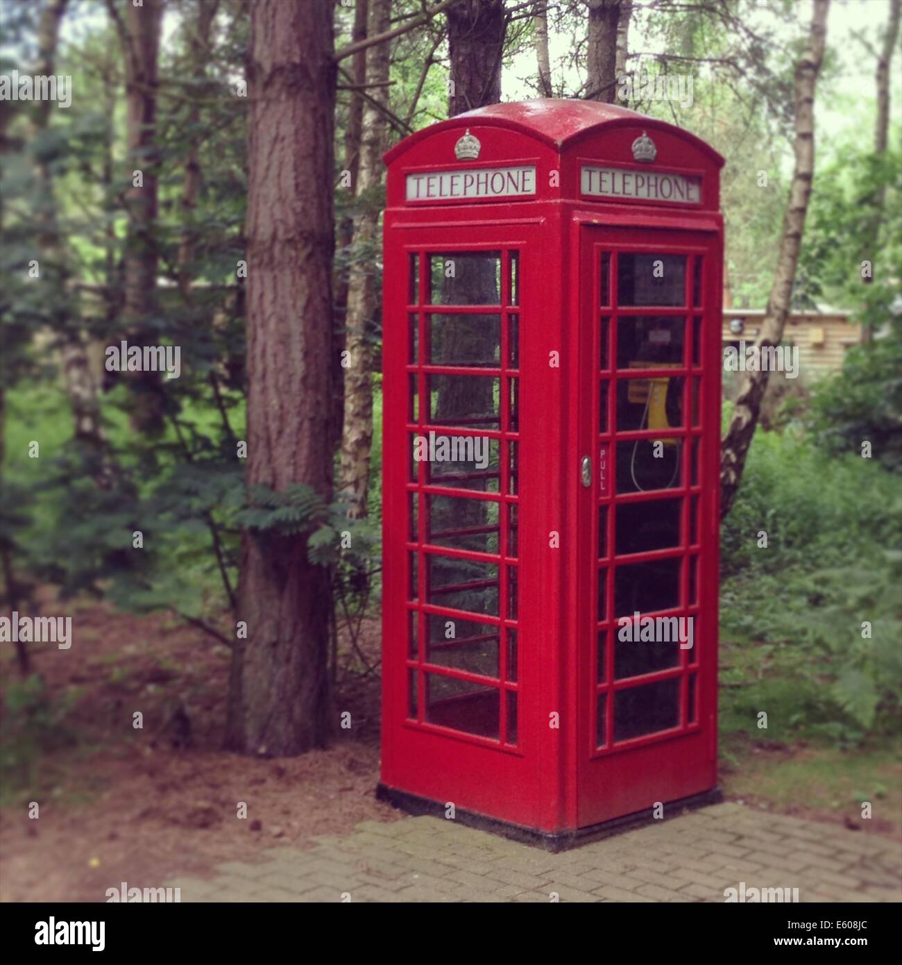 A traditional red British public telephone box Stock Photo - Alamy