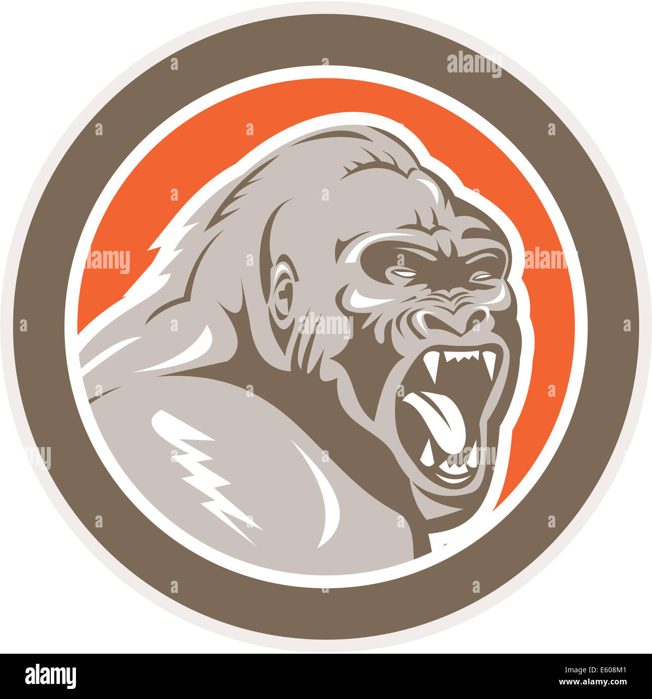Illustration of an angry gorilla ape head set inside circle on isolated ...