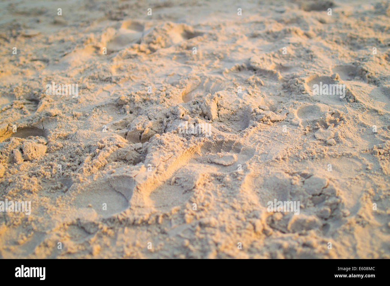 Baby footsteps hi-res stock photography and images - Alamy