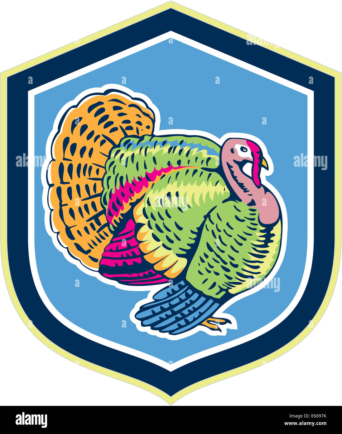 Illustration of a wild turkey side view walking set inside shield crest ...