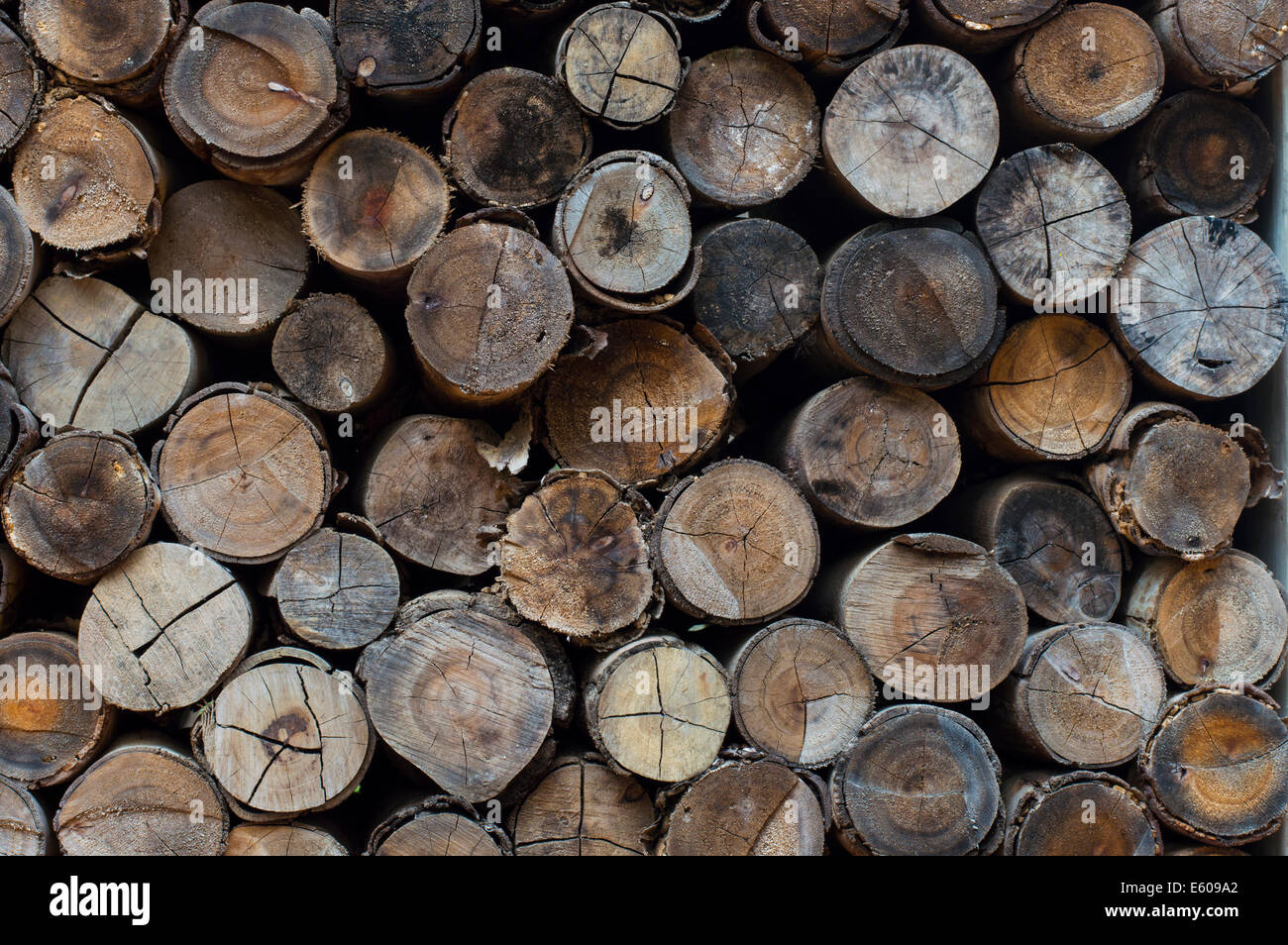 Log effect hi-res stock photography and images - Alamy