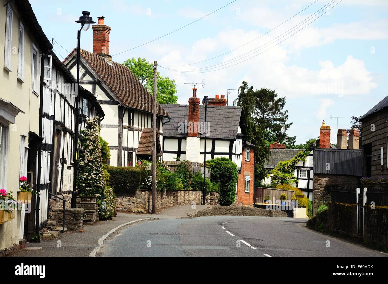 Traditional white timbered buildings along East Street, Pembridge ...
