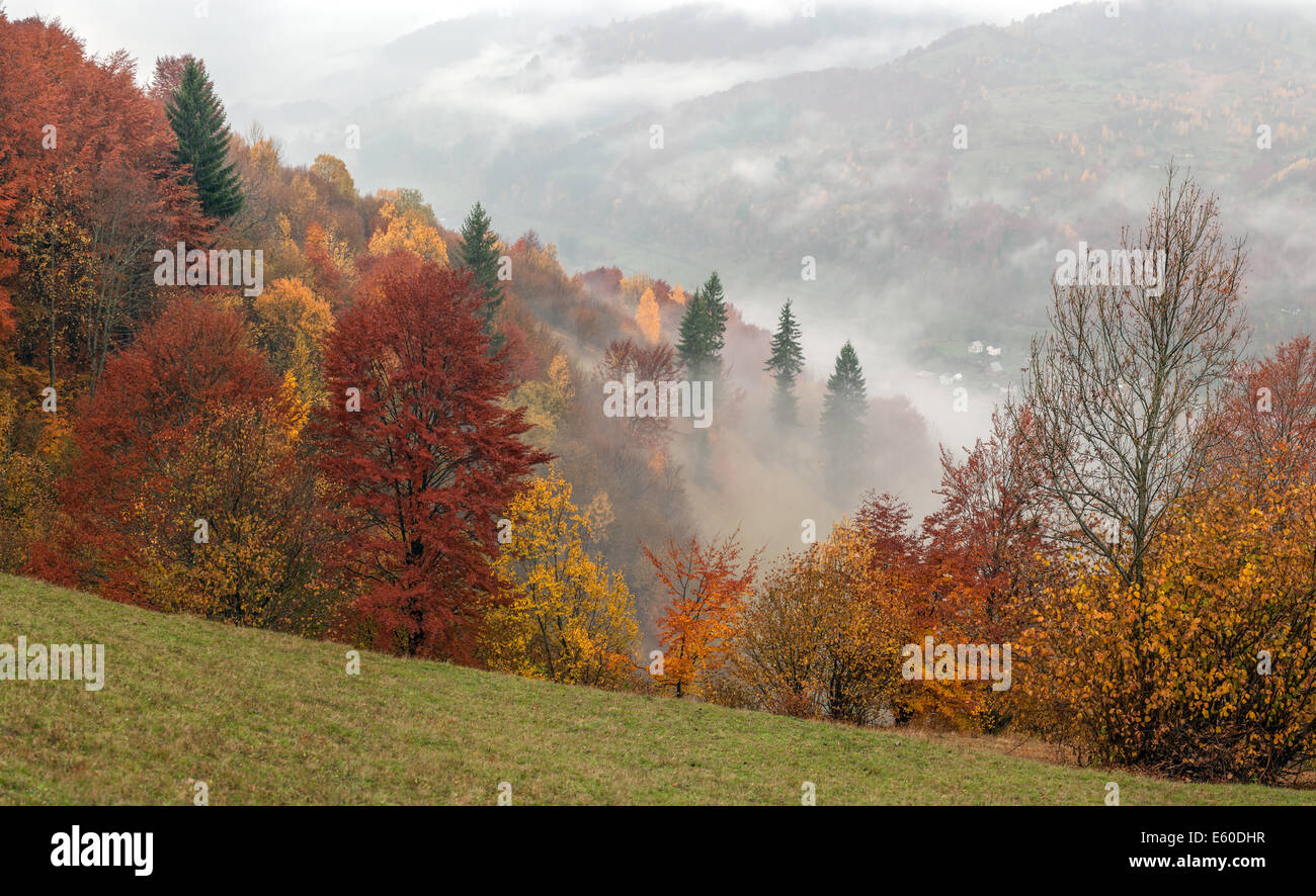Carpathians mountain in summer time Stock Photo - Alamy