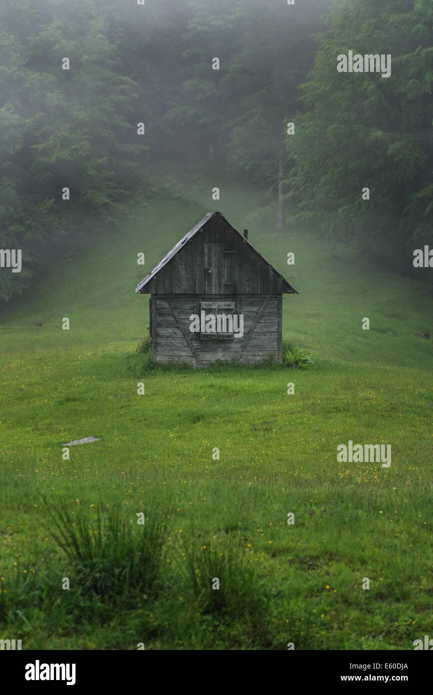 alone cabin in the woods Stock Photo - Alamy