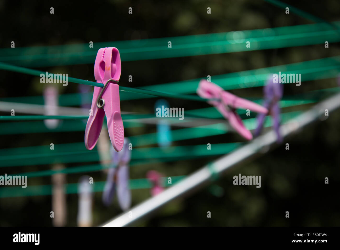 Pink clothes pegs on a washing line on a sunny day Stock Photo - Alamy
