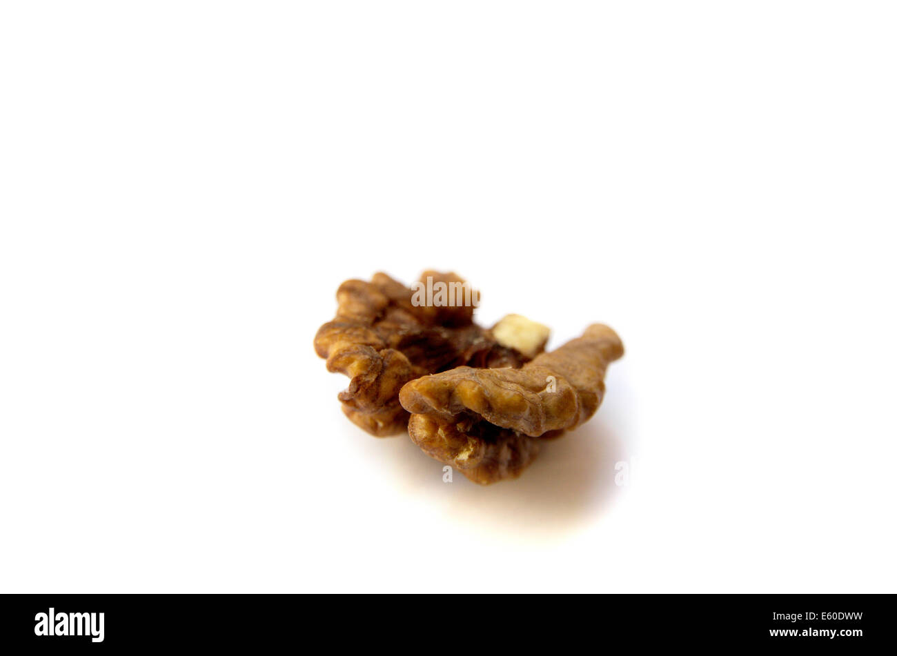 Walnut isolated hi-res stock photography and images - Alamy