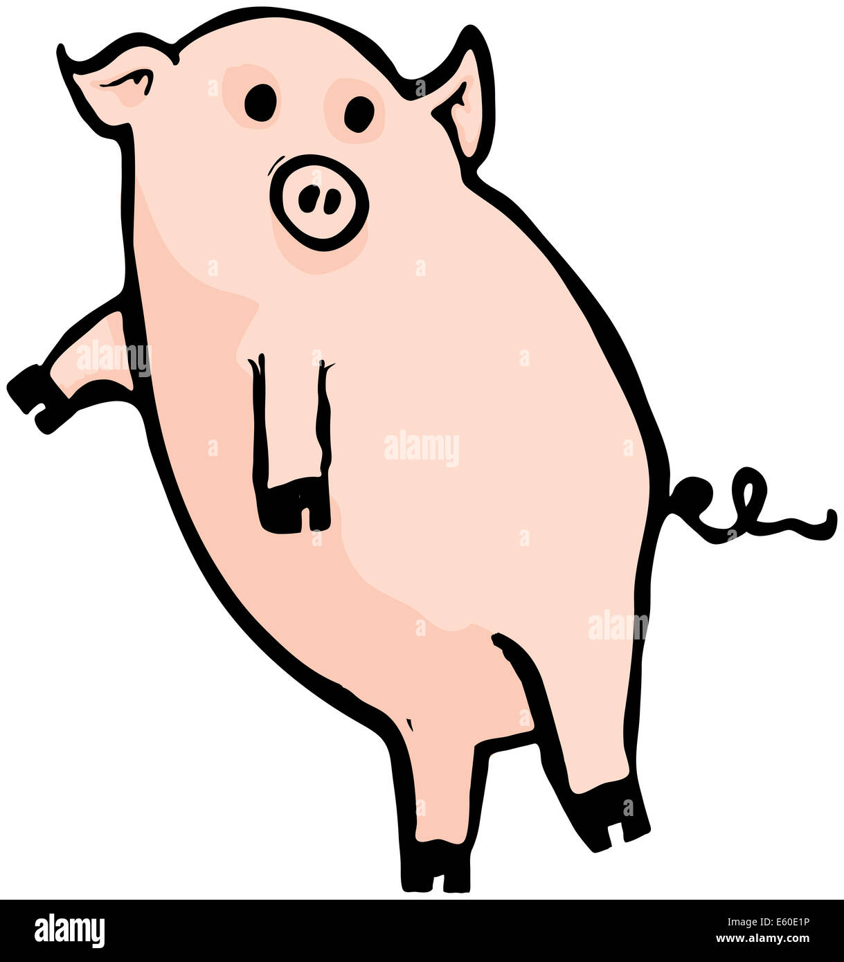 Animated Flying Pig