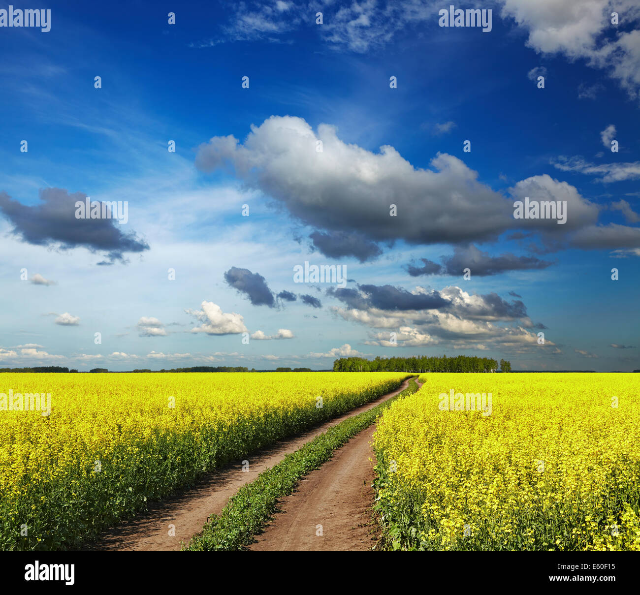 Beautiful field road hi-res stock photography and images - Alamy