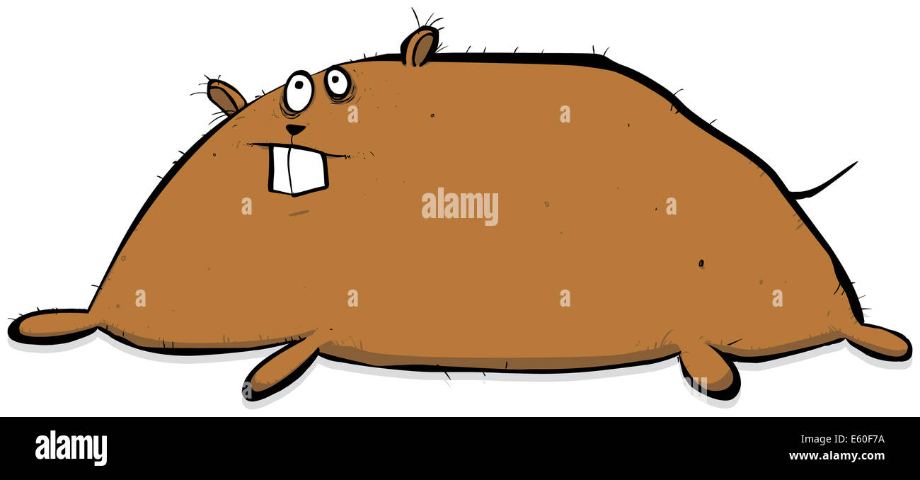 Fat hamster hi-res stock photography and images - Alamy
