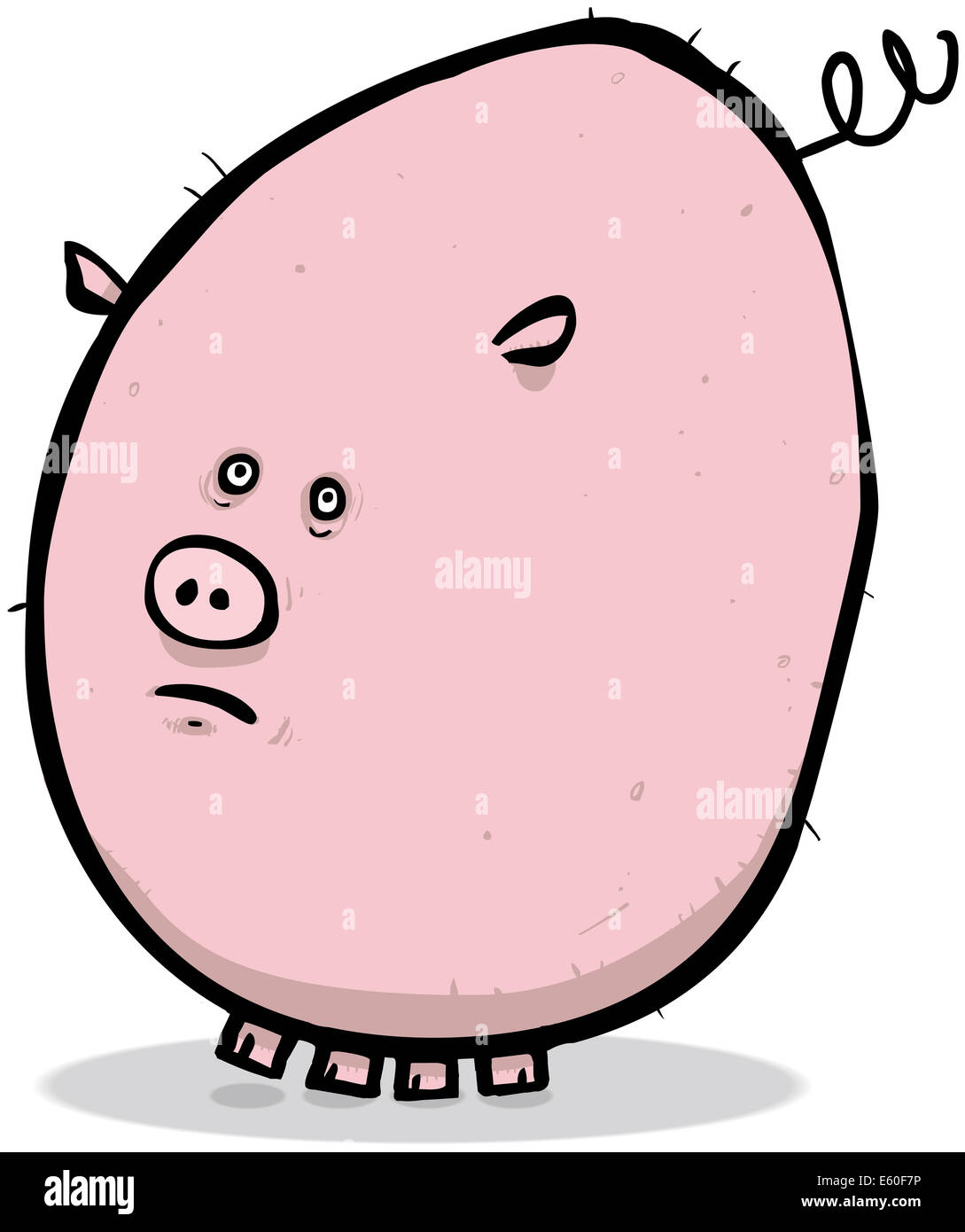 Illustration of wonkily or badly drawn pig Stock Photo - Alamy