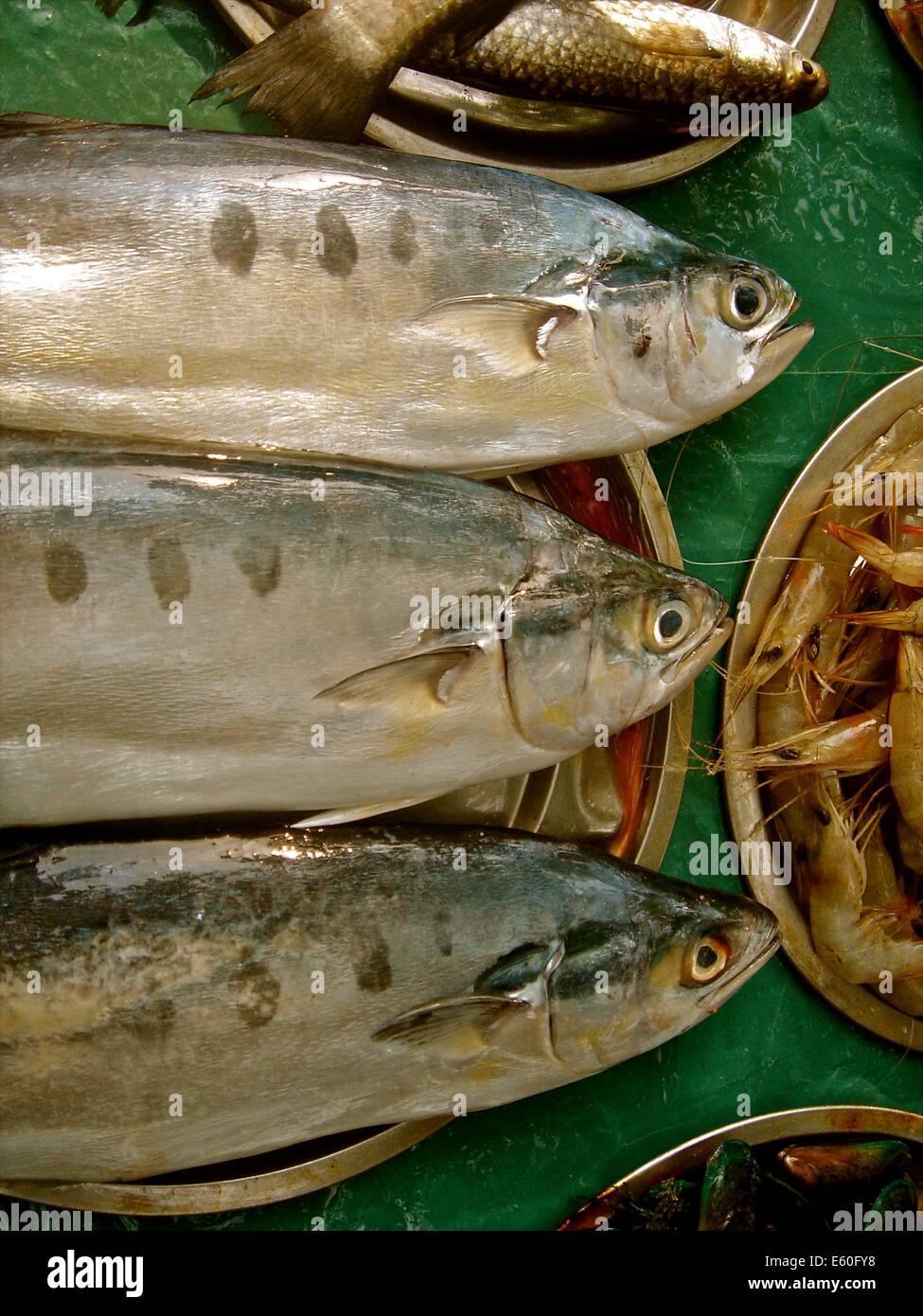 Kerala fish market hi-res stock photography and images - Alamy