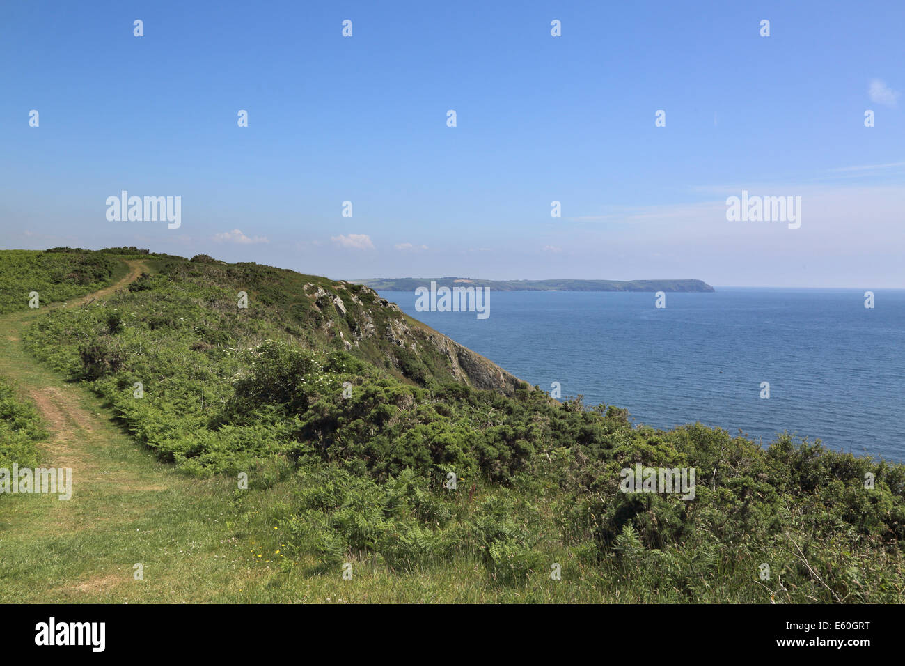 nare head and the south west coastal path in cornwall Stock Photo - Alamy