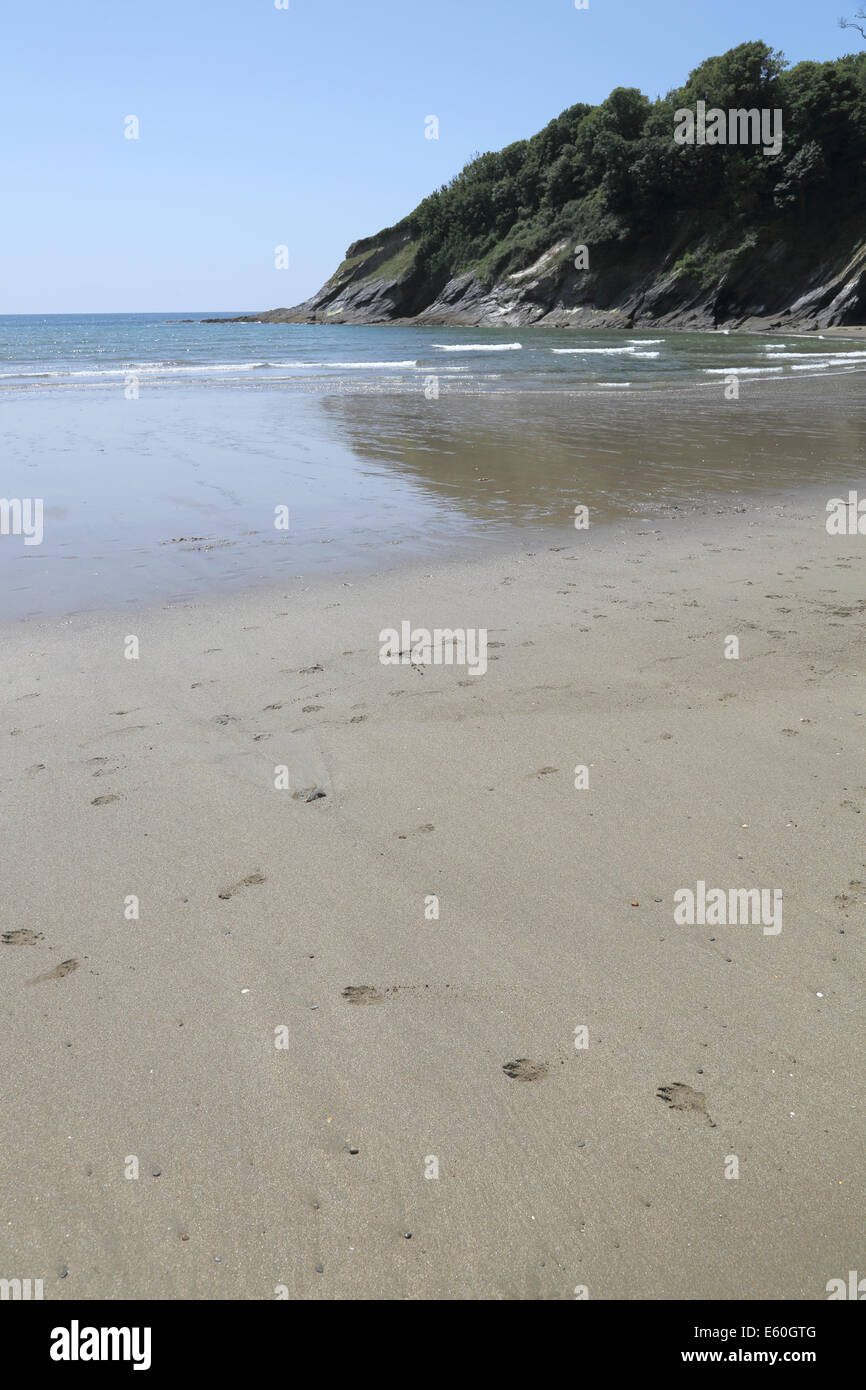 porthluney beach on the south cornwall coast Stock Photo - Alamy