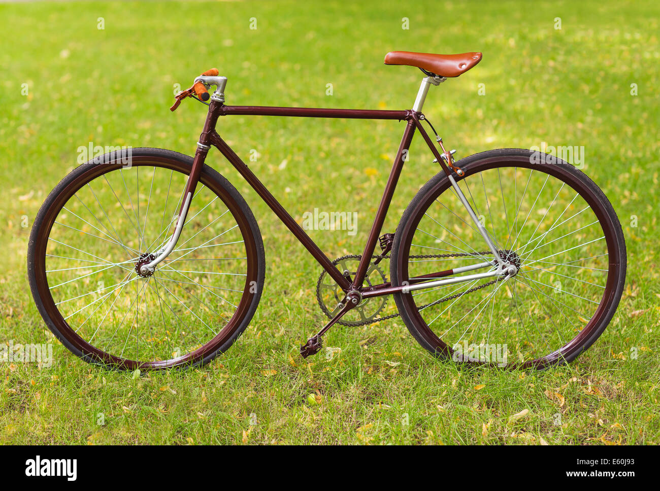 Stylish bicycle on green grass Stock Photo - Alamy