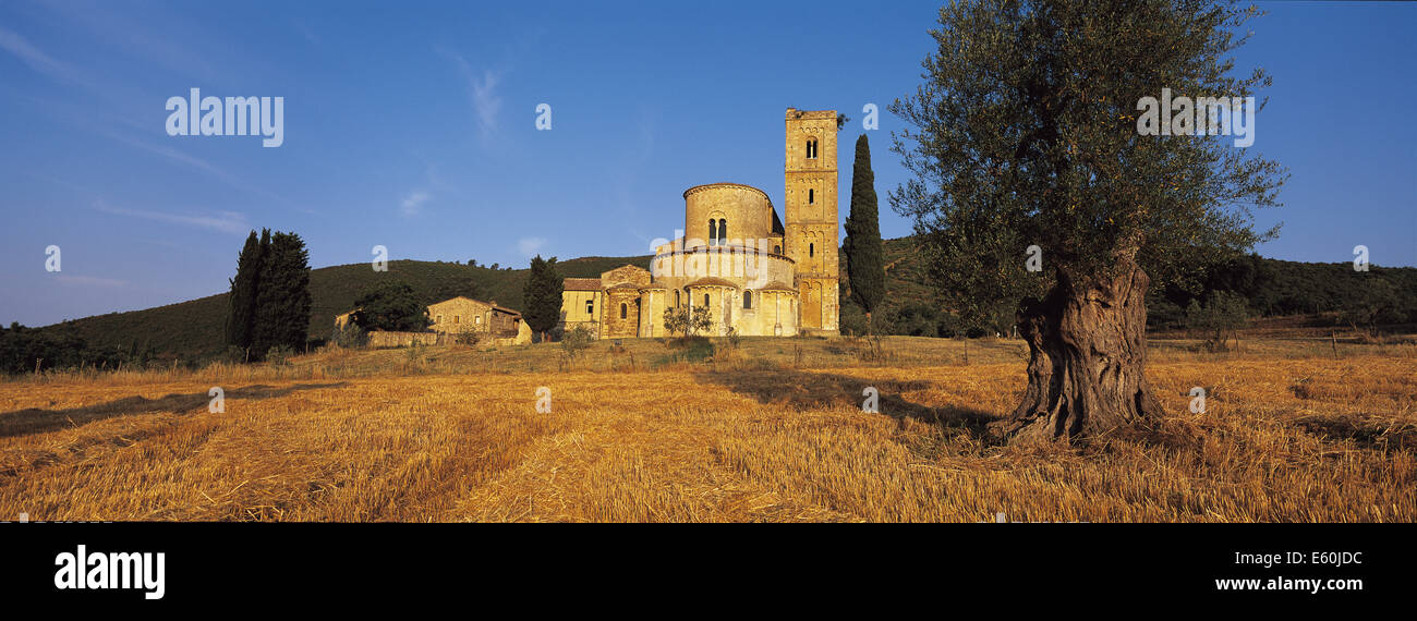 San Antimo abbay, Tuscany, Italy Stock Photo - Alamy