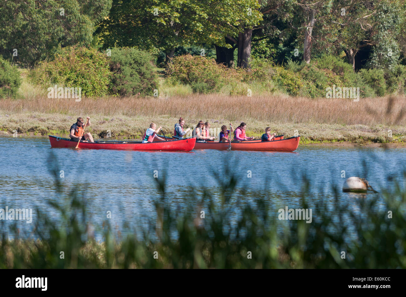 Family canoeing canoe trip Beaulieu River Stock Photo - Alamy