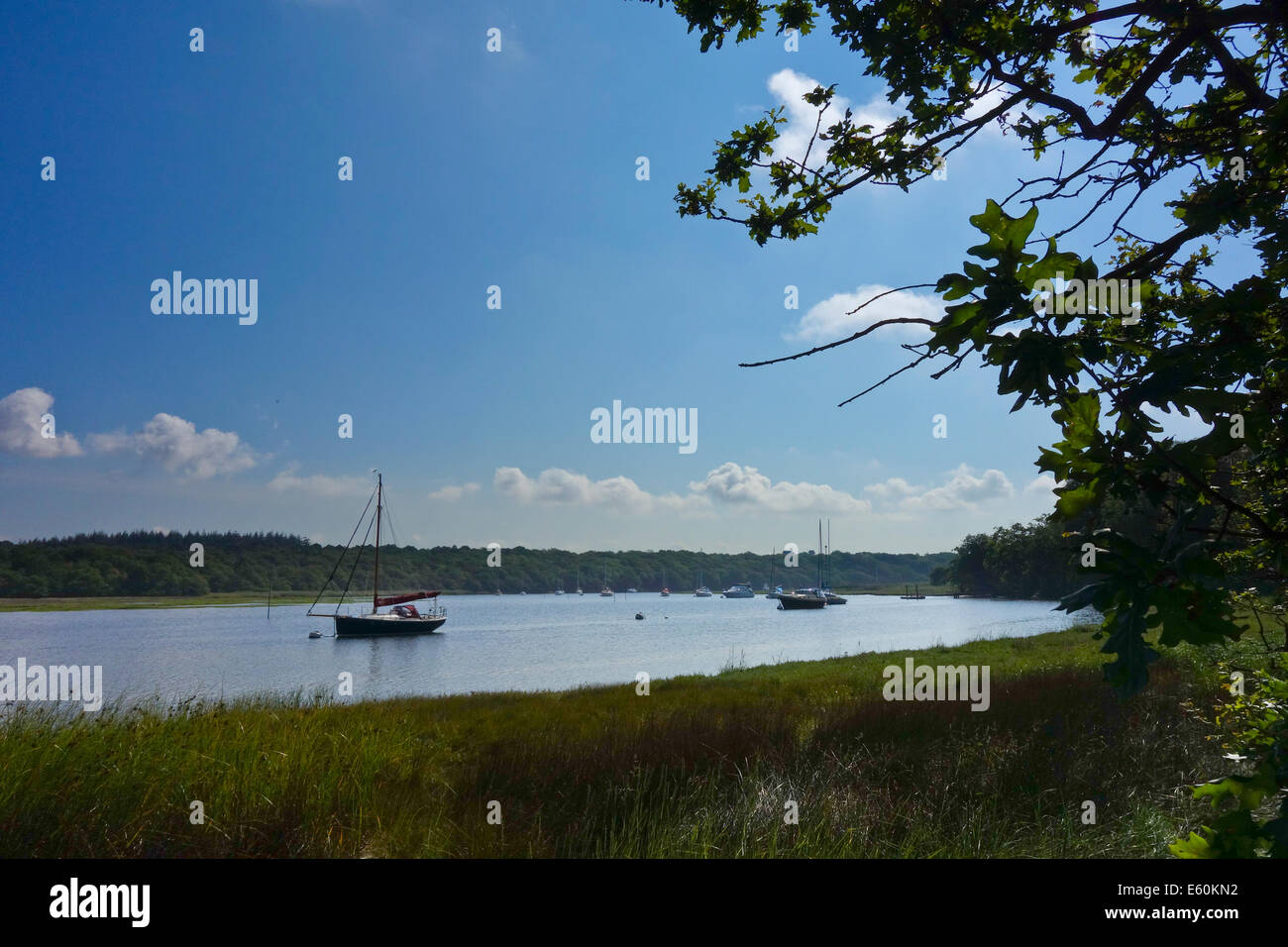 Beaulieu river hi-res stock photography and images - Alamy