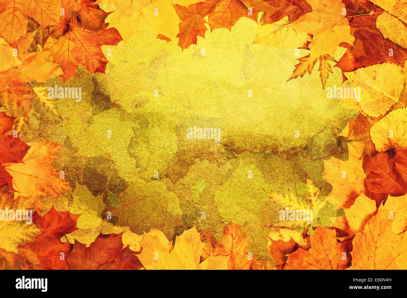 Autumn leaves frame Stock Photo - Alamy