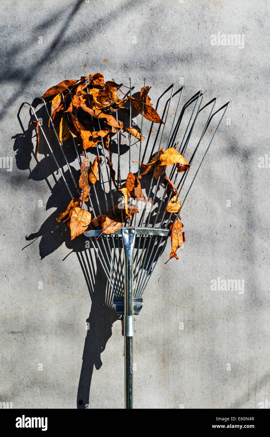 Autumn broom with leaves Stock Photo - Alamy