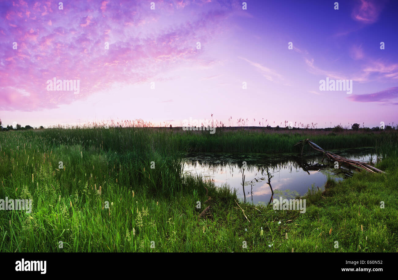 Rural summer sunrise Stock Photo - Alamy