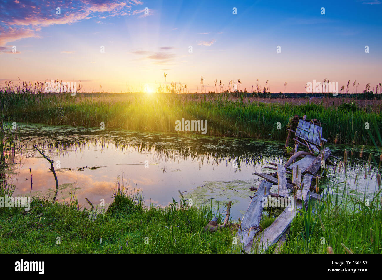 Rural summer sunrise Stock Photo - Alamy