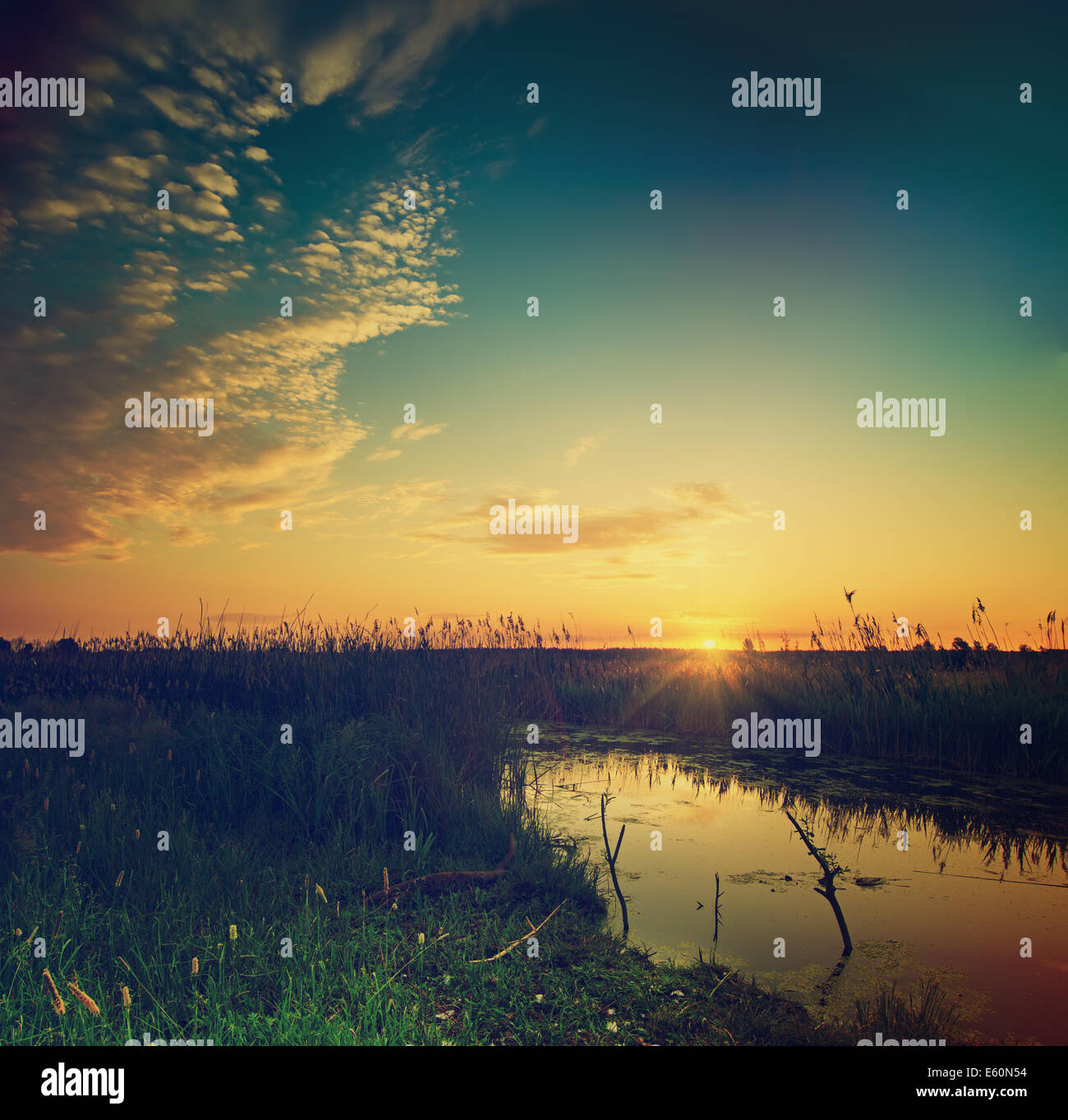 Rural summer sunrise Stock Photo - Alamy