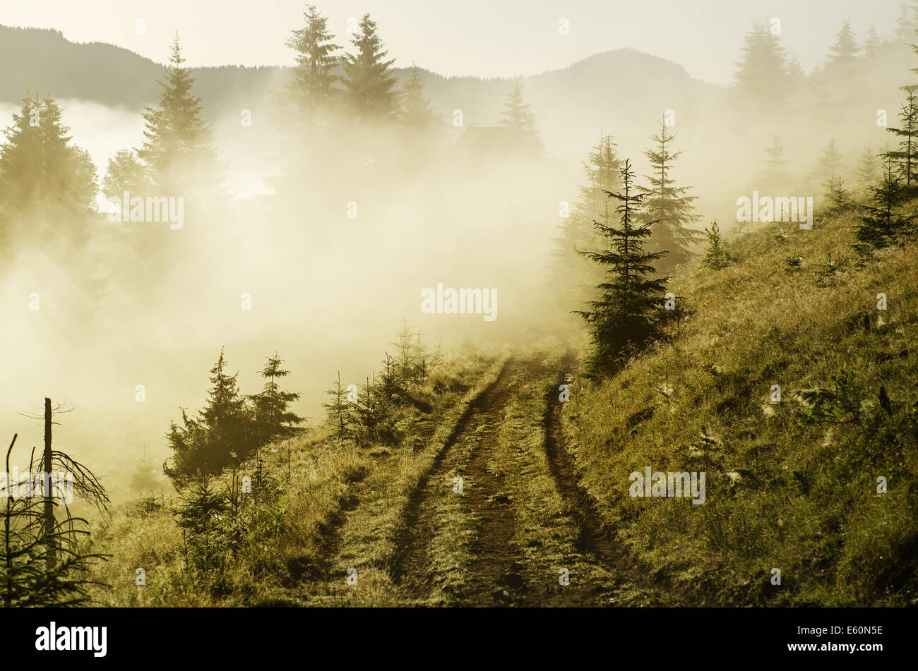 Foggy morning landscape Stock Photo - Alamy