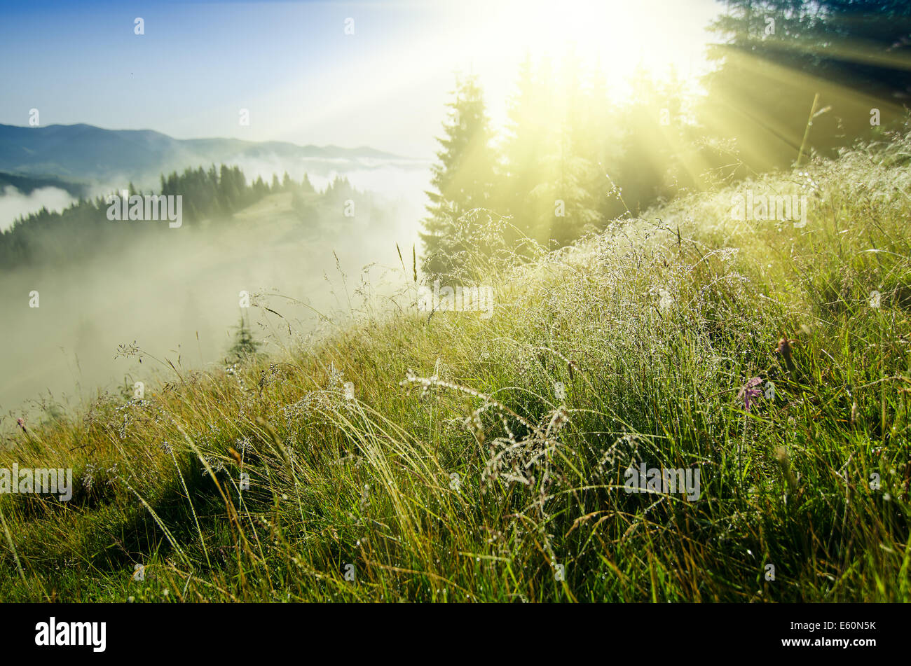 Foggy morning landscape Stock Photo - Alamy