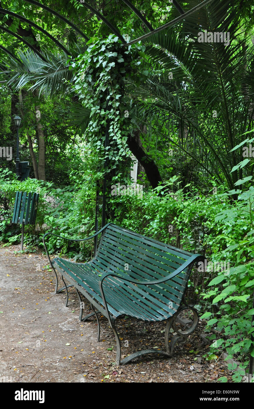 Green bench and lush vegetation at the national botanical garden public ...