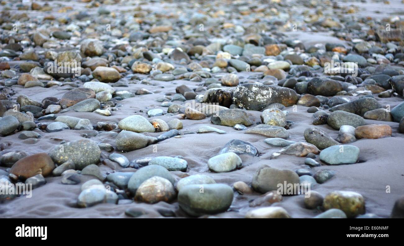 Wet rocks on a sandy beach Stock Photo - Alamy