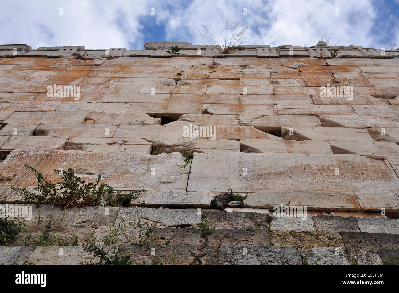 Under the Acropolis wall. Plants and flowers growing on ancient ruins ...