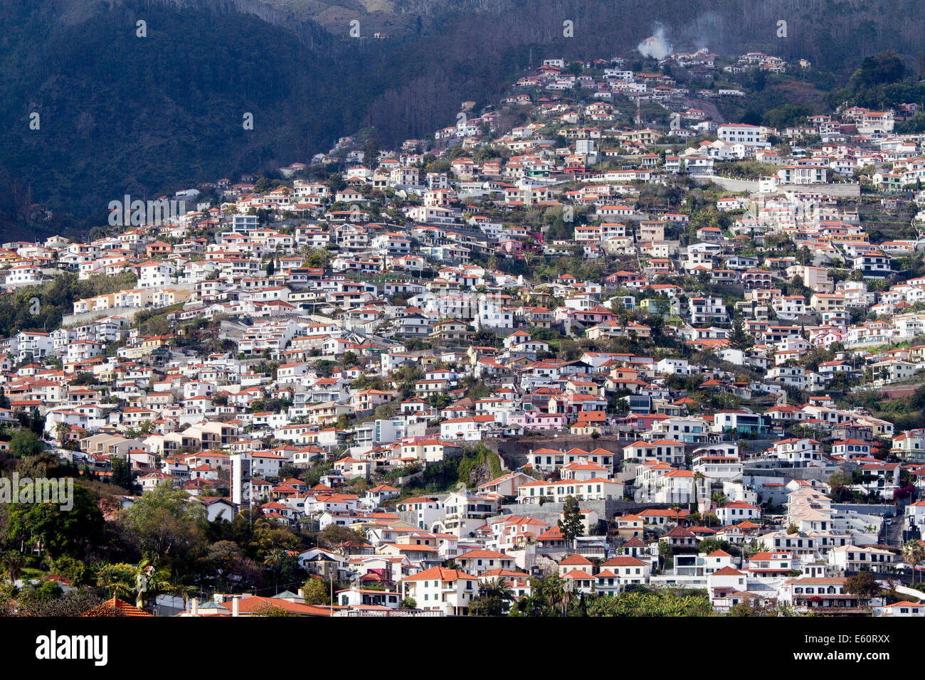 Panoramic view of Funchal, Madeira, Portugal Stock Photo - Alamy
