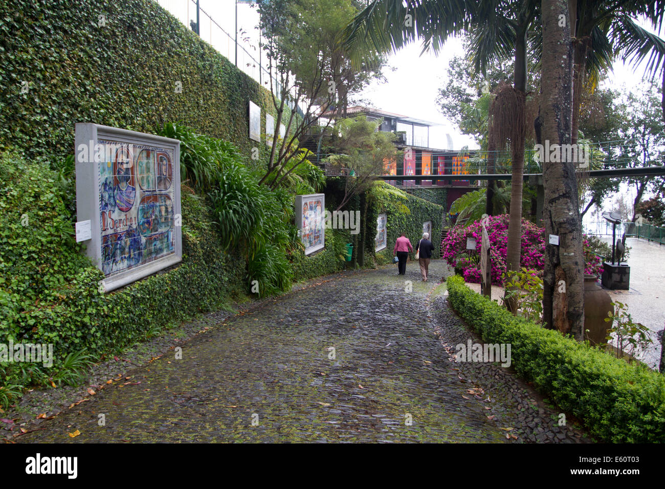 Monte gardens, Funchal, Madeira, Portugal Stock Photo - Alamy