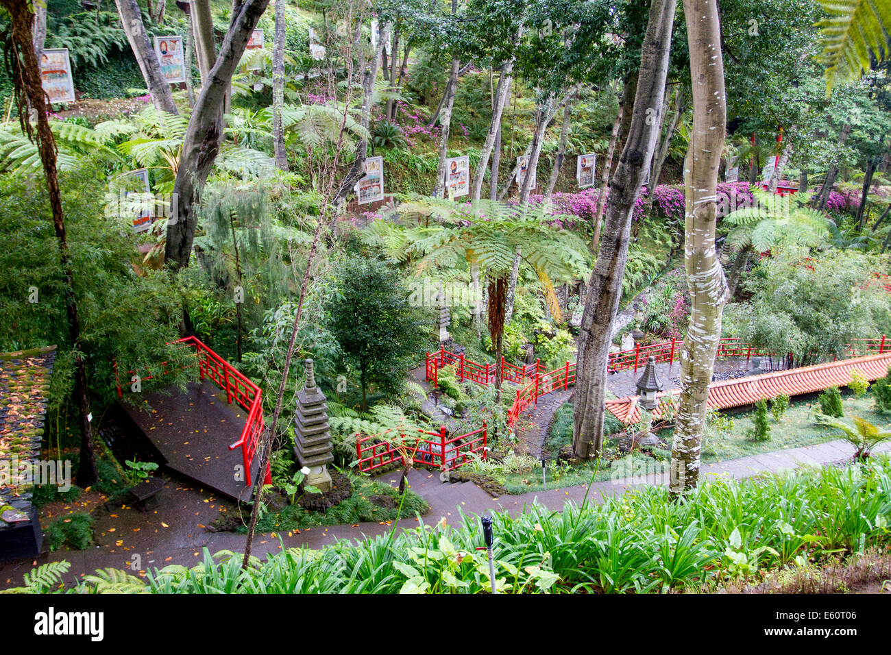 Monte gardens, Funchal, Madeira, Portugal Stock Photo - Alamy