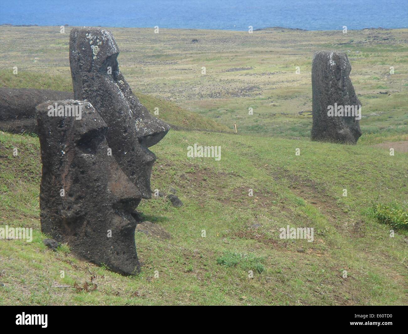 Moai statues in the quarry area of Rano Raraku, an extinct volcano on ...
